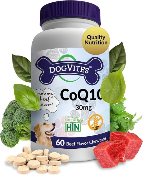 7 Best CoQ10 Supplements for Dogs - iHeartDogs.com