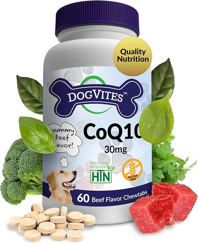 7 Best CoQ10 Supplements for Dogs - iHeartDogs.com