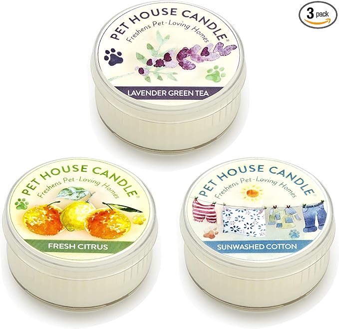 8 Best Dog Safe Candles - iHeartDogs.com