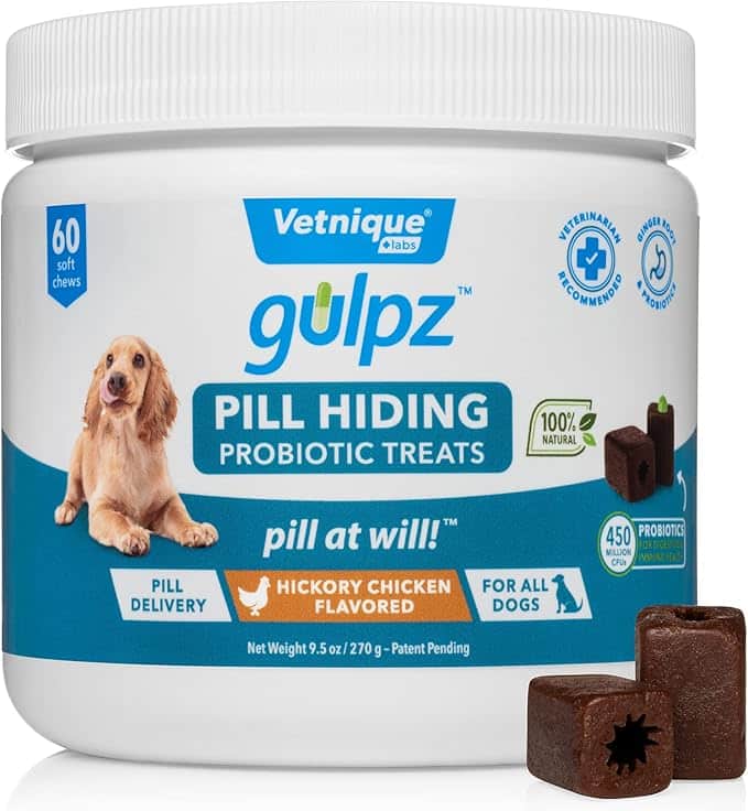 7 Best Dog Pill Dispensers - iHeartDogs.com