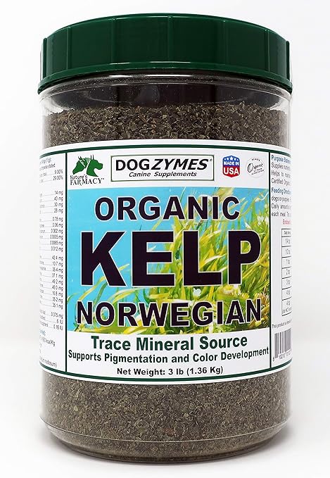 6 Best Kelp & Seaweed Supplements for Dogs - iHeartDogs.com