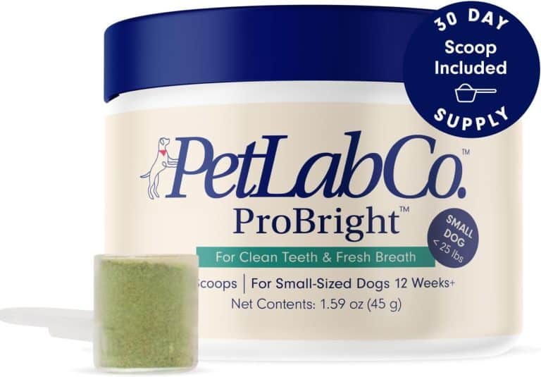 PetLab Co. ProBright Dental Powder Review: Does It Really Work ...