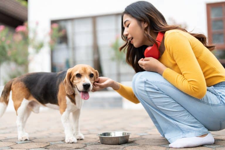 11 Reasons Dogs Truly Are Man’s Best Friend - iHeartDogs.com