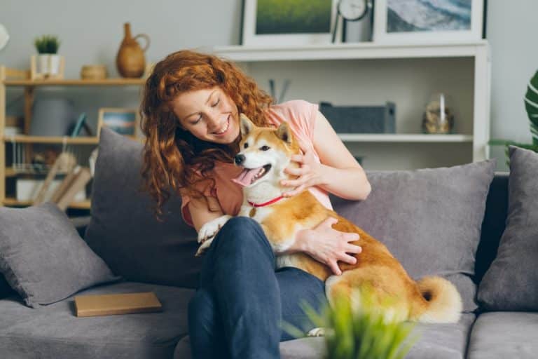11 Cute Dog Breeds With Goofy Smiles Owners Can’t Resist - iHeartDogs.com
