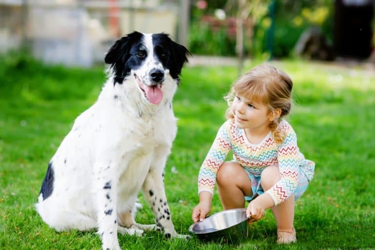 11 Reasons Dogs Truly Are Man’s Best Friend - iHeartDogs.com
