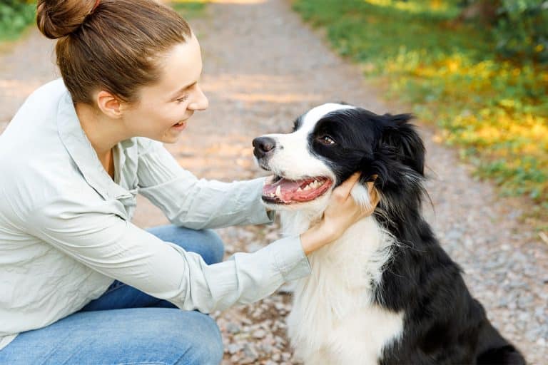 13 Amazing Facts About How Dogs Perceive Touch - iHeartDogs.com