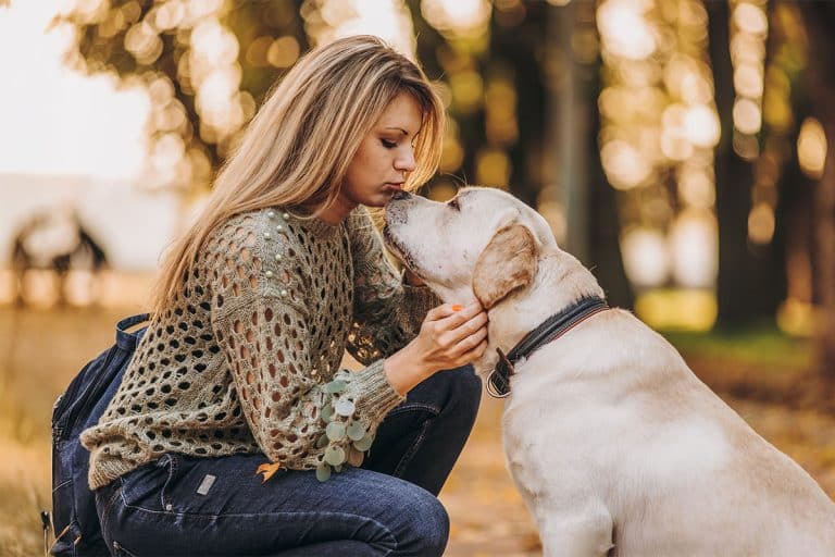 13 Sensitive Dog Breeds That’ll Make You Smile - iHeartDogs.com