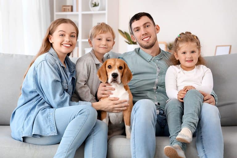 13 Best Family Dog Breeds You Need to Know - iHeartDogs.com
