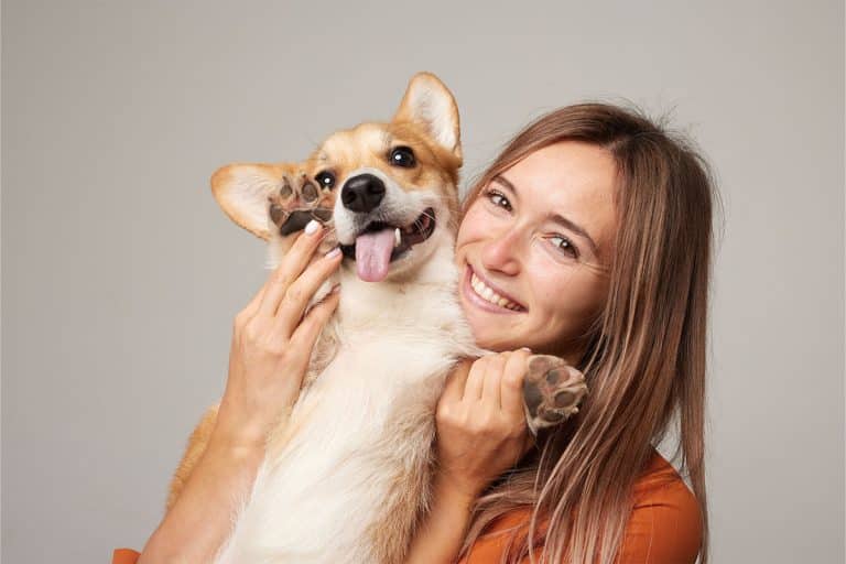 11 Most Loving Dog Breeds In The World - iHeartDogs.com