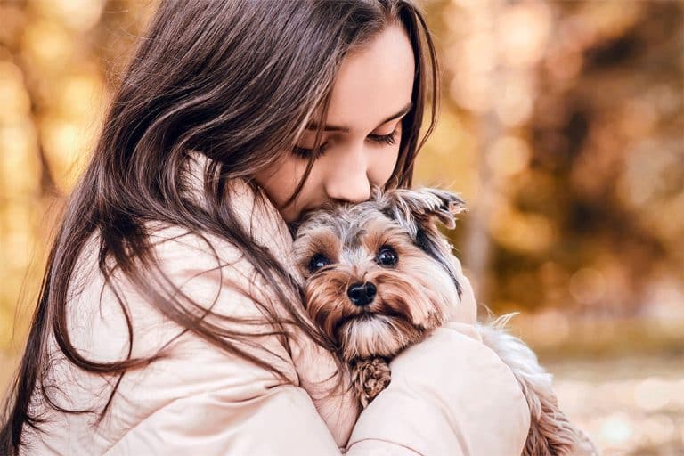 13 Best Dog Breeds For Emotional Support And Comfort - iHeartDogs.com