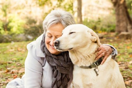 11 Most Loving Dog Breeds In The World - iHeartDogs.com