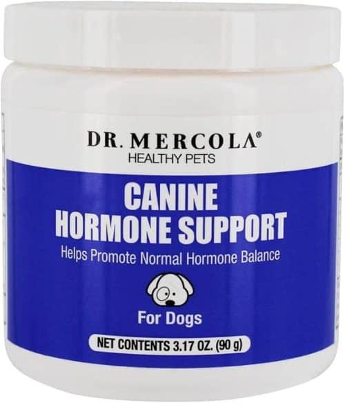 4 Best Hormone & Glandular Supplements for Dogs - iHeartDogs.com