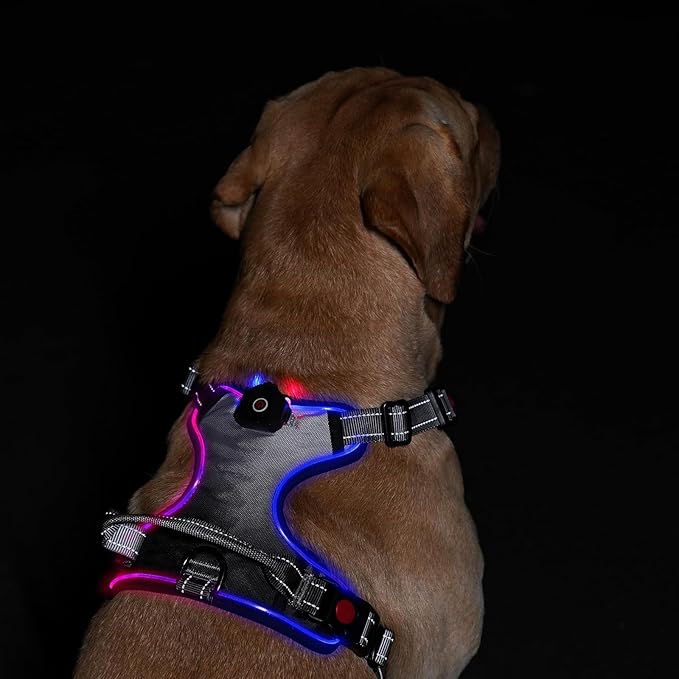 11 Best LED Light Up Dog Leashes for Night Walking - iHeartDogs.com