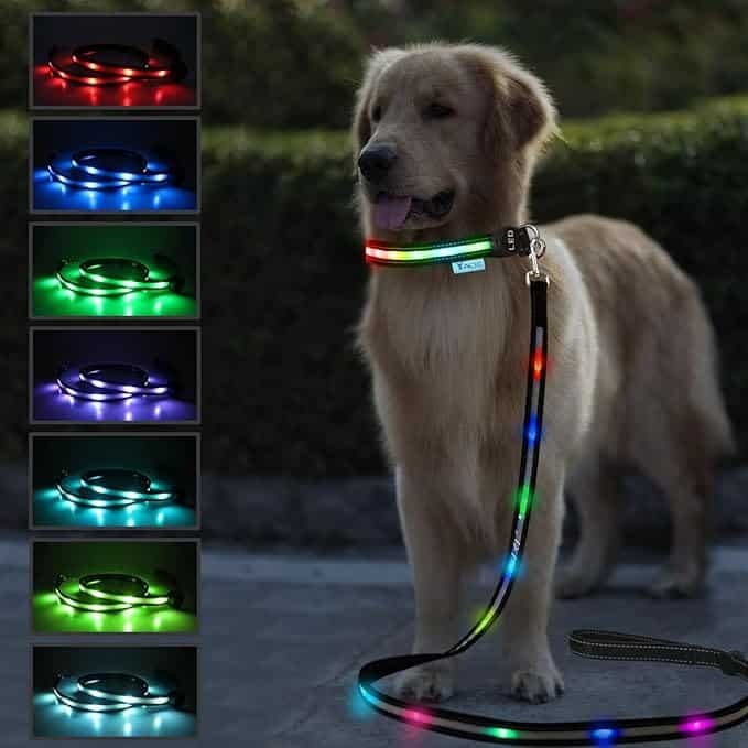 11 Best LED Light Up Dog Leashes for Night Walking - iHeartDogs.com
