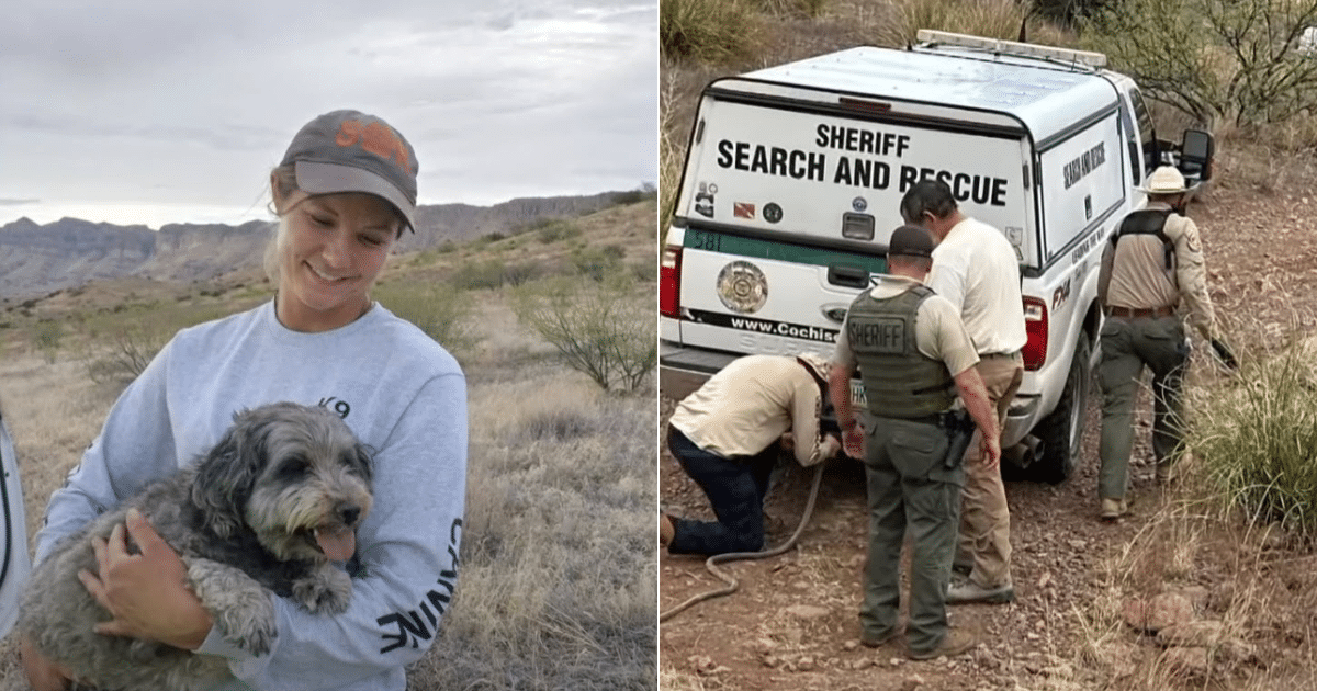 Loyal Dog Found Guarding Owner’s Body in Remote Wilderness - iHeartDogs.com