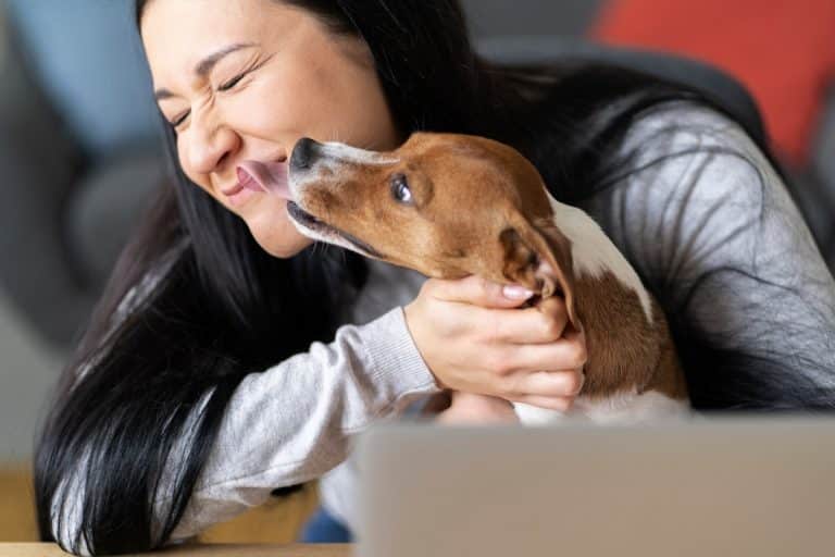 13 Amazing Facts About a Dog’s Sense of Smell - iHeartDogs.com