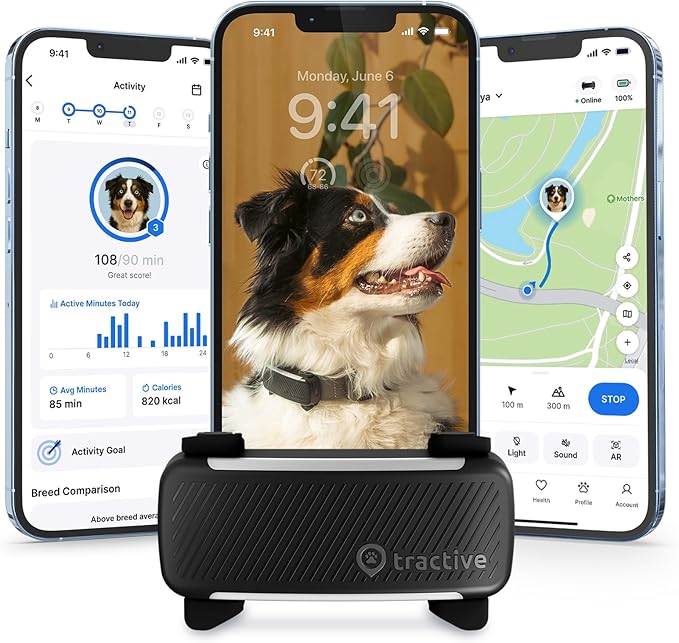 The 7 Best Dog Activity Trackers For 2026 - iHeartDogs.com