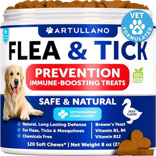 Ditch the Itch With 15 Solutions That Help Dogs Stop Scratching ...