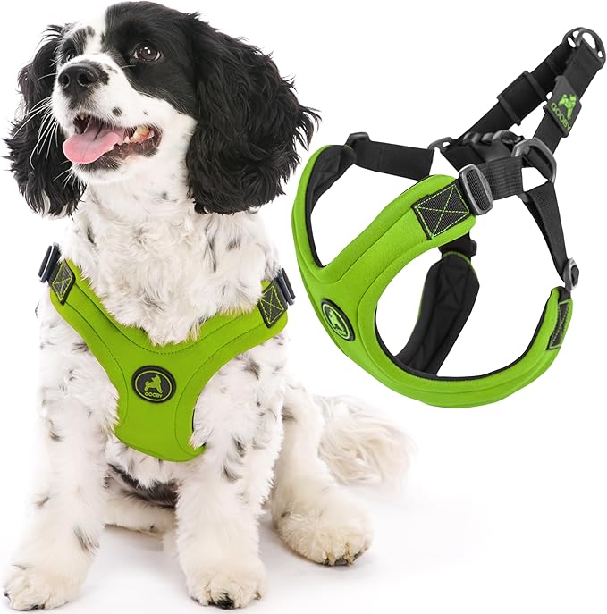 Different Types of Dog Leashes, Collars & Harnesses Explained ...