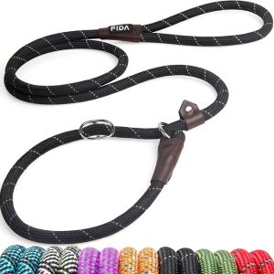 Different Types of Dog Leashes, Collars & Harnesses Explained ...