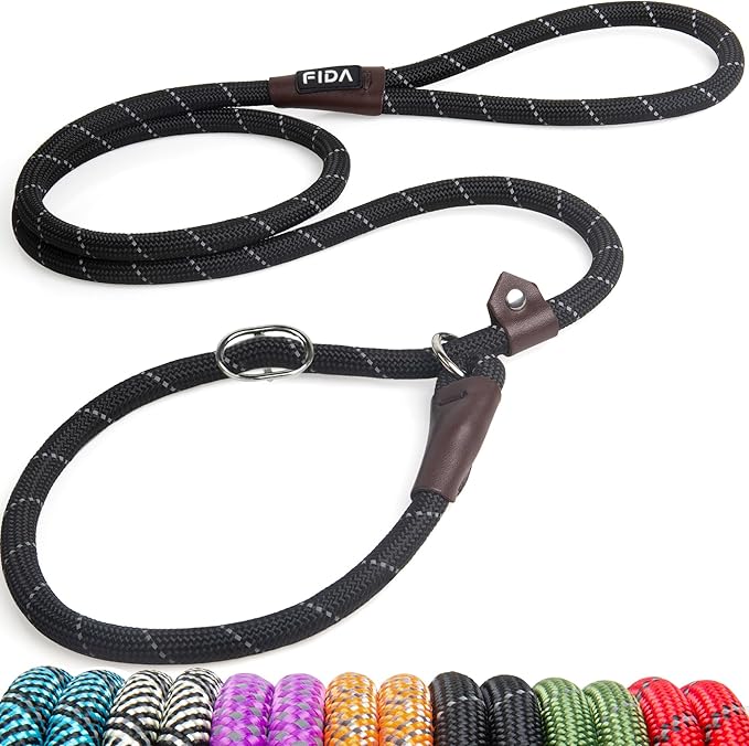 Different Types of Dog Leashes, Collars & Harnesses Explained ...