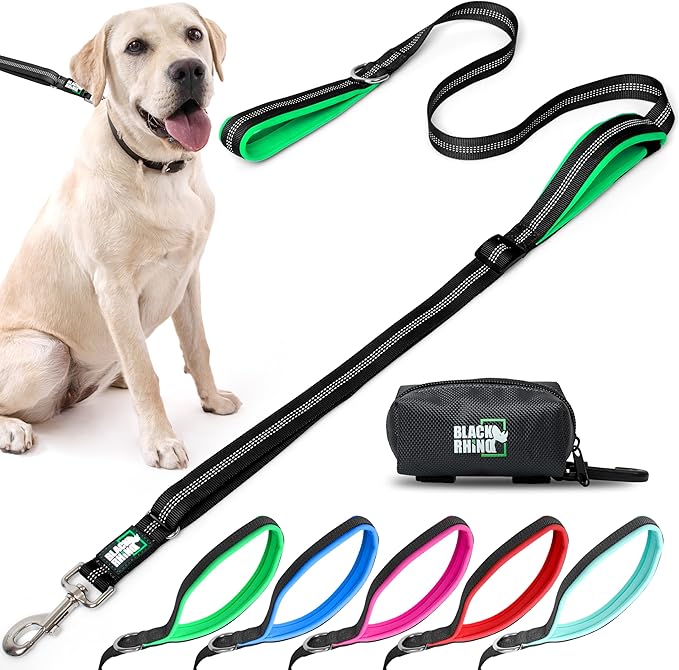Different Types of Dog Leashes, Collars & Harnesses Explained ...