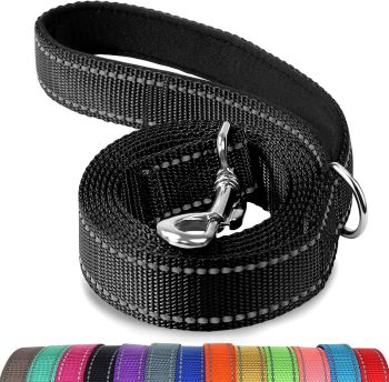 Different Types of Dog Leashes, Collars & Harnesses Explained ...