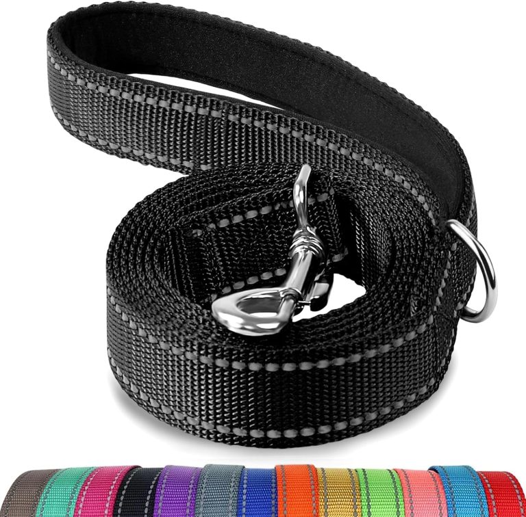 Different Types of Dog Leashes, Collars & Harnesses Explained ...