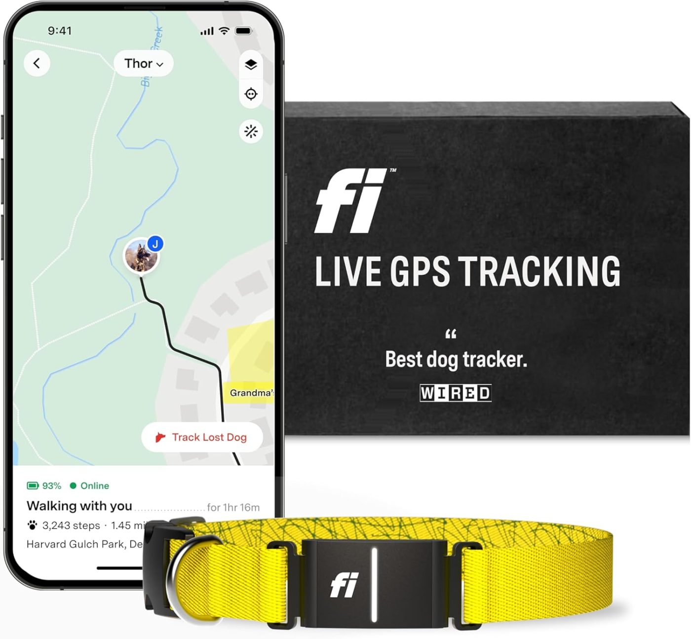 The 7 Best Dog Activity Trackers For 2025 - iHeartDogs.com