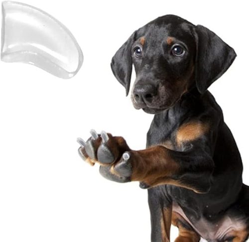 6 Best Dog Nail Covers and Caps - iHeartDogs.com