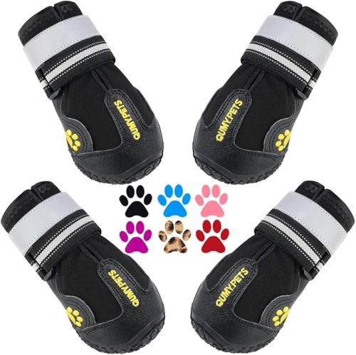 6 Best Dog Nail Covers and Caps - iHeartDogs.com