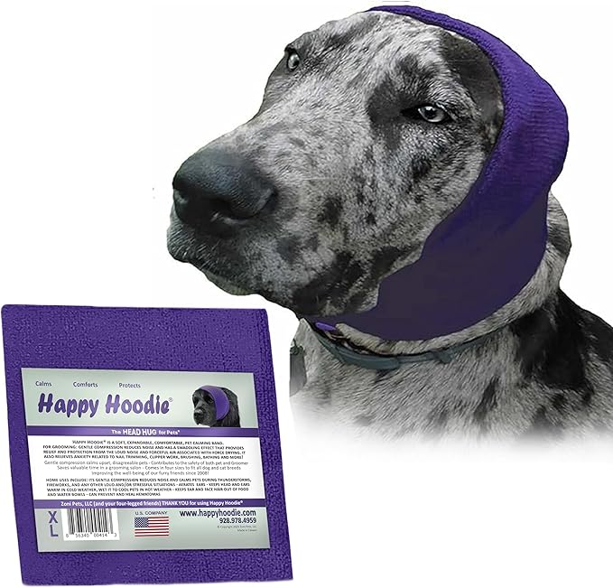 13 Solutions That Help Ease Separation Anxiety in Dogs - iHeartDogs.com