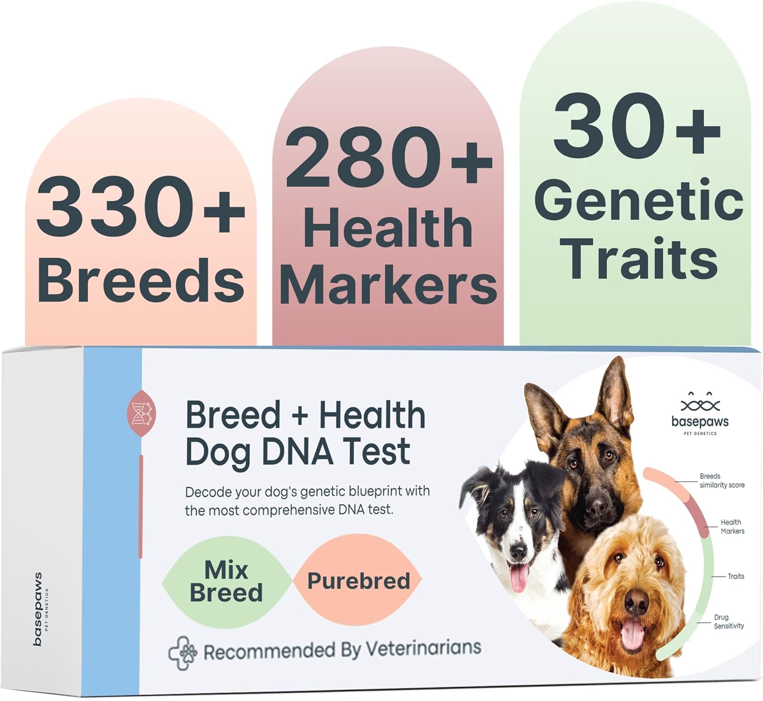 FINAL DAY! Amazon Prime Day Dog Deals Are Almost Gone! - iHeartDogs.com