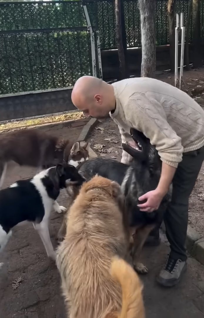 Dog Desperately Chases Owner’s Car Until Rescuer Steps in to Help ...