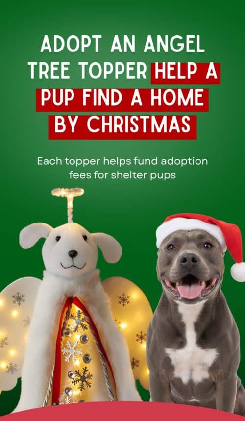 Angel Adoption Tree Topper - iHeartDogs.com