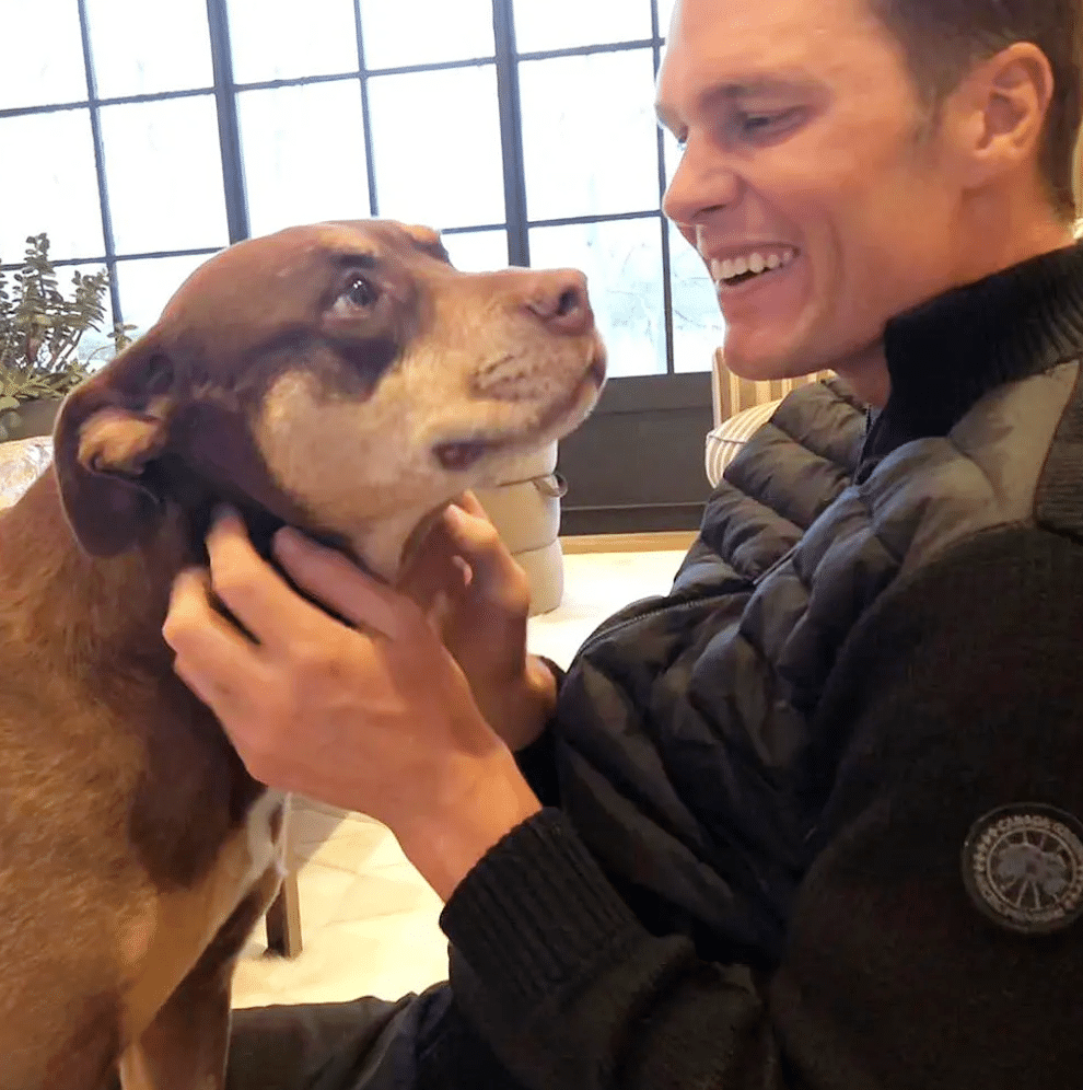 Tom Brady Clones His Late Dog, Sparks Debate Over Science and Love ...