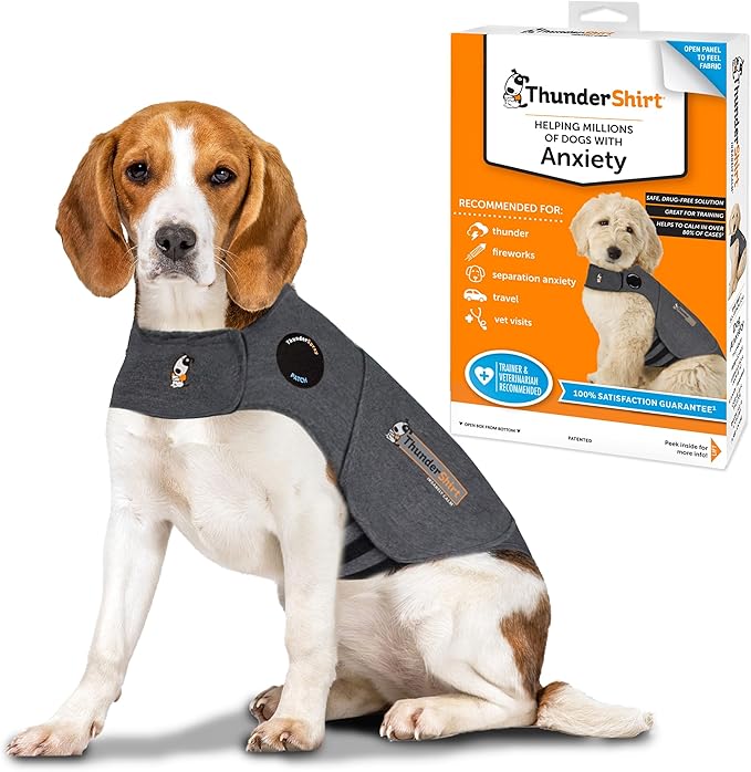 15 Best Dog Anxiety Relief Products (2026): Calming Chews, Vests & More ...