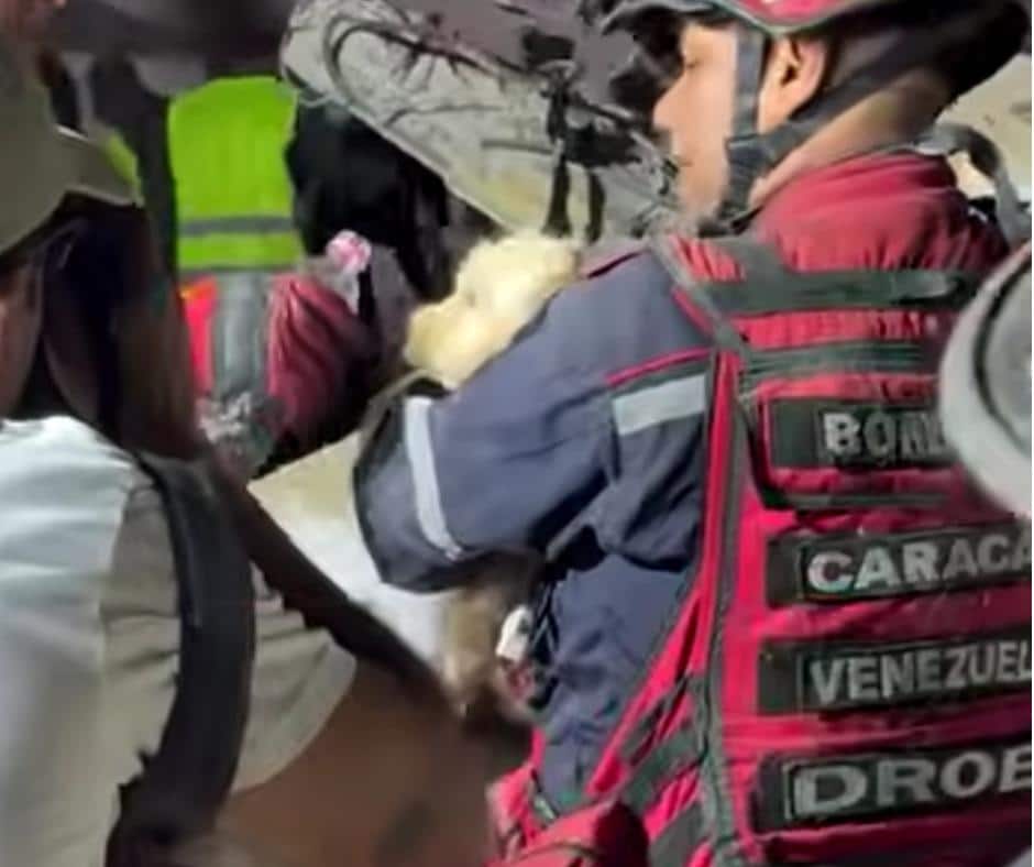 Tiny Puppy Pulled Alive From Venezuela Earthquake Rubble in Dramatic ...